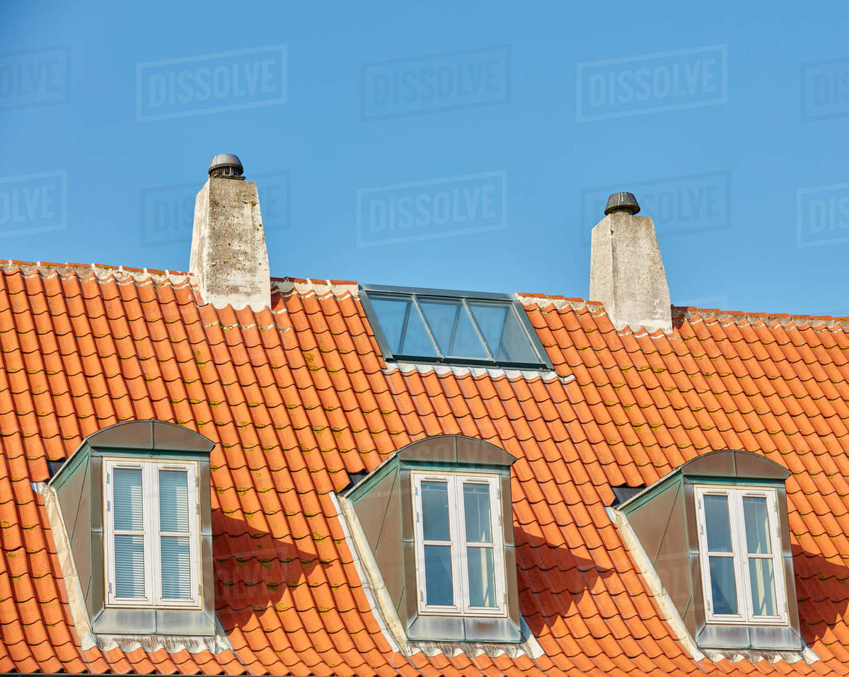 Chimney chutes, windows and sunroof skylight designed on house building ...