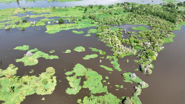 Amazon River at Amazon Rainforest. The biggest tropical rainforest of ...