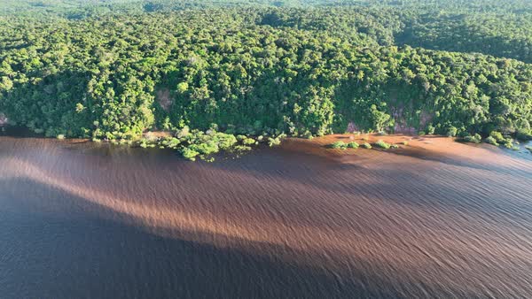 Amazon River at Amazon Rainforest. The biggest tropical rainforest of ...