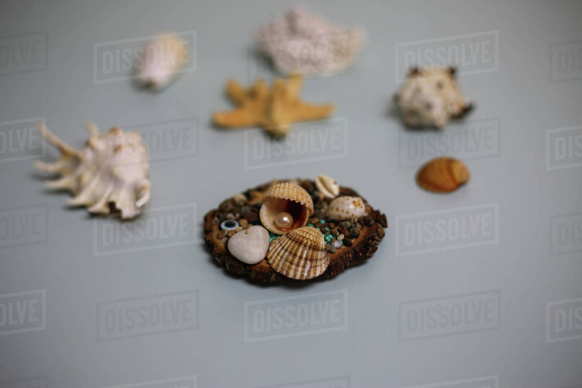 Seashells on a blue background. Clams from the beach scattered on the ...