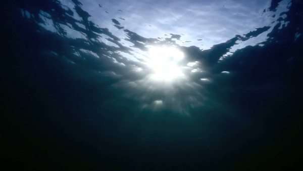 Underwater view of sunset light rays shining through the ocean surface ...