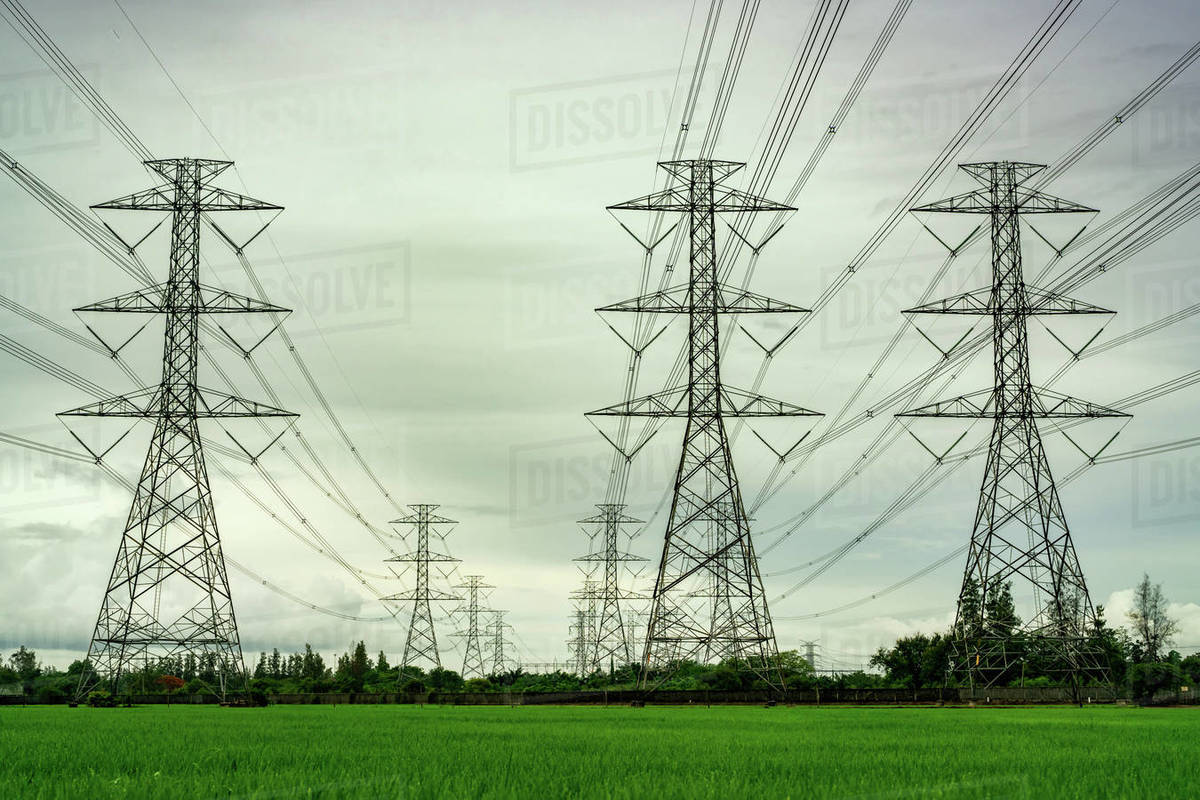 High voltage electric pylon and electrical wire at green rice field and ...