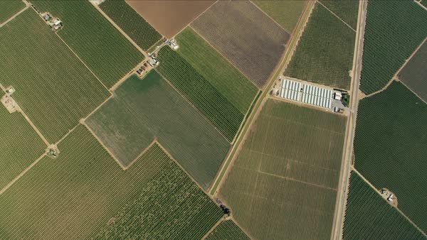 Overhead aerial of scenic patchwork crops fresh industrial produce ...