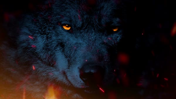Wolf with glowing eyes growling in raging flames - Stock Video Footage ...