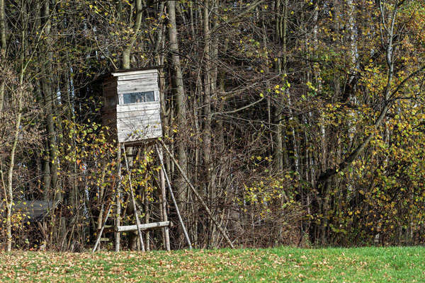 Wooden lookout tower for hunting in the woods and on meadow - Royalty ...