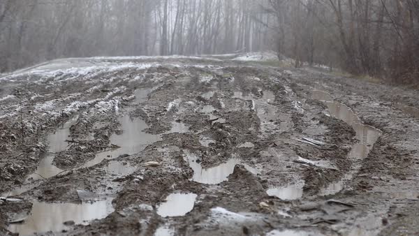 Muddy washed out forest dirt road, it is raining, track from wheels ...