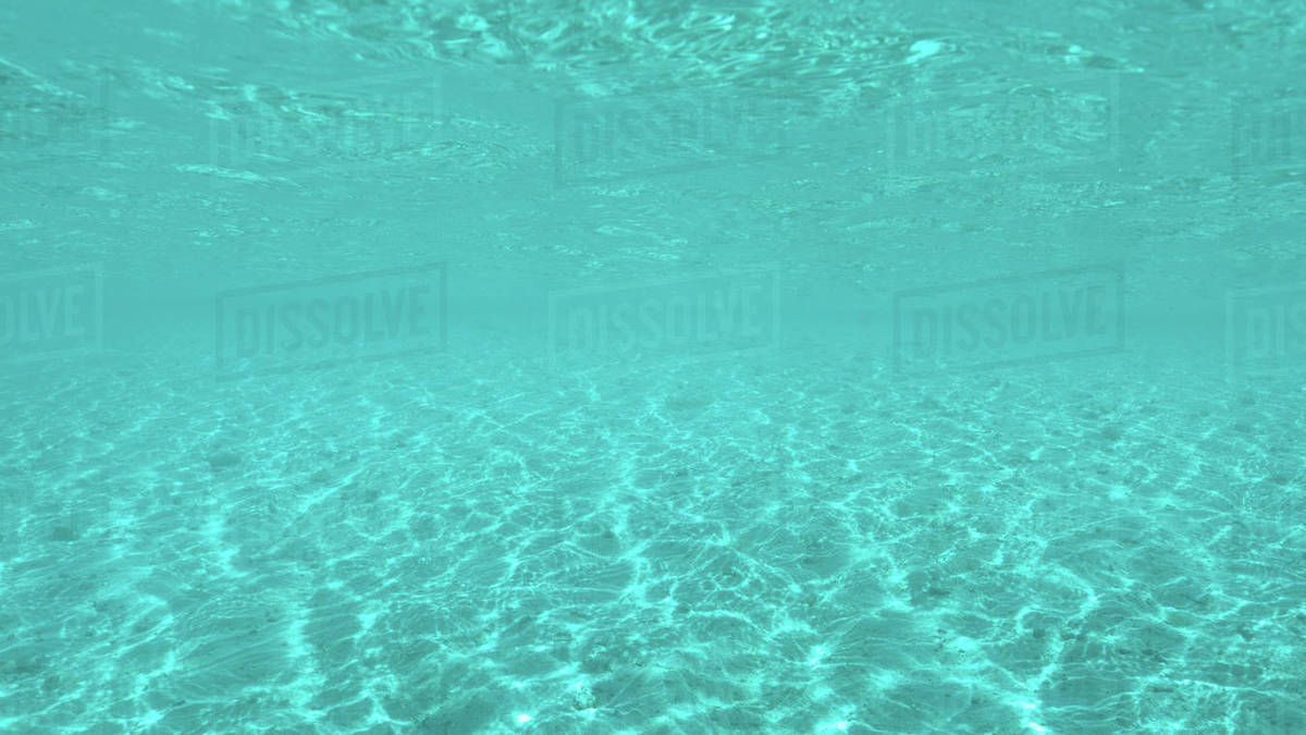 UNDERWATER: Bright tropical sun rays shine through the tranquil surface ...