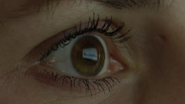 CLOSE UP MACRO: Detail of brown female eye scanning through the ...