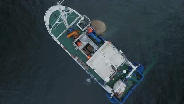 Zoom out of a commercial fishing ship where people processing the fish ...