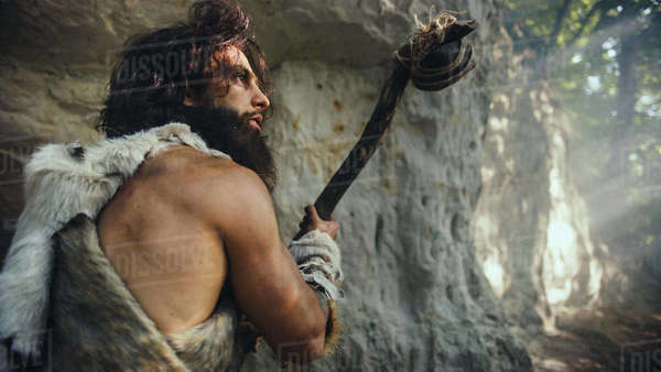 Primeval Caveman Wearing Animal Skin Holds Stone Tipped Hammer Comes ...