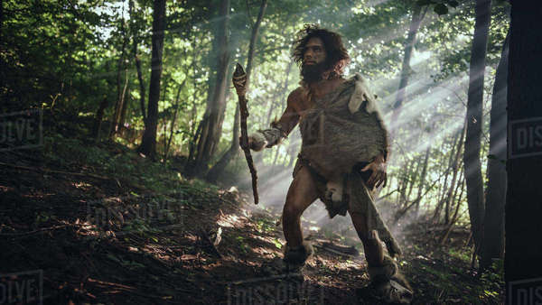 Primeval Caveman Wearing Animal Skin Holds Stone Tipped Spear Looks ...