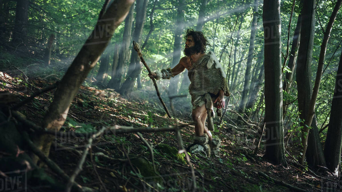 Primeval Caveman Wearing Animal Skin Holds Stone Tipped Spear Looks ...