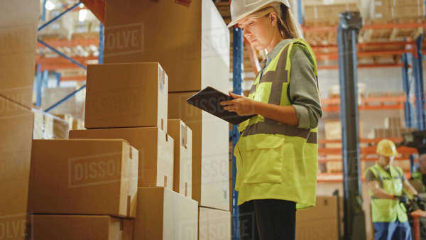 Retail Warehouse full of Shelves with Goods in Cardboard Boxes, Female ...