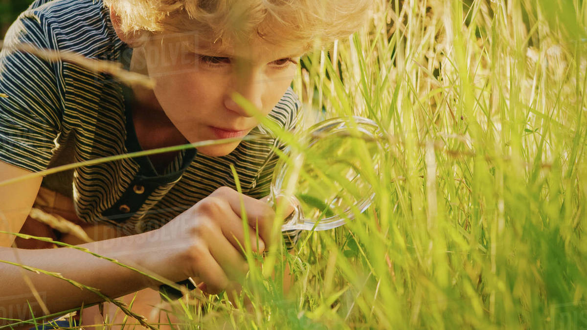 Handsome Young Naturalist Scientist Explores Plant Life and Insect Life ...