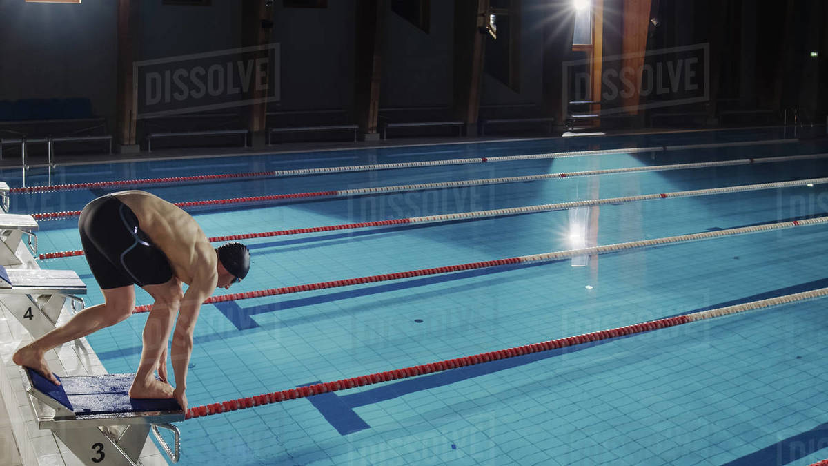 Muscular Male Swimmer Diving in Swimming Pool. Professional Athlete ...