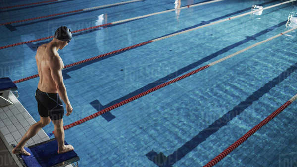 Athletic Male Swimmer Stands on a Starting Block, Ready to Dive into ...