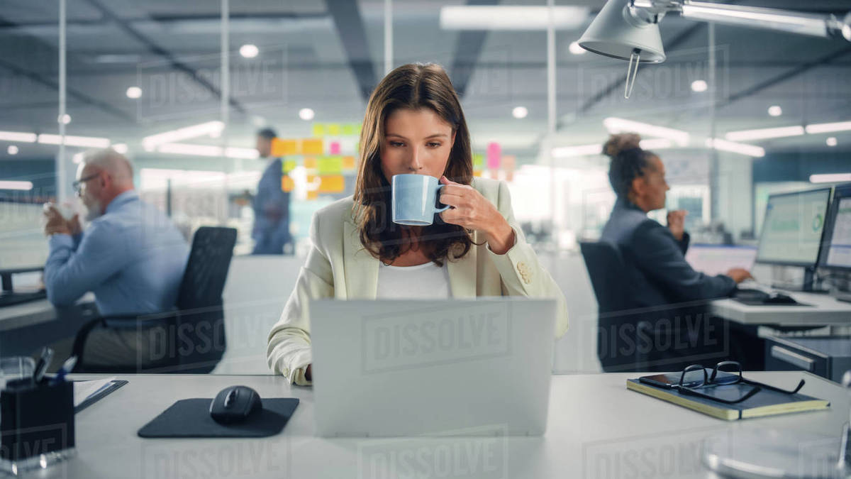 Young Businesswoman Using Computer in Modern Office with Colleagues ...