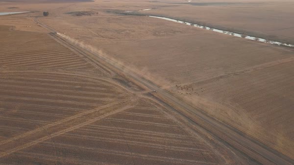 Driving along dirt road looking sideways at arid field with cows ...