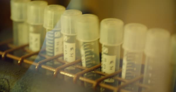 Test tubes with bacteria in shaker at laboratory - Stock Video Footage ...