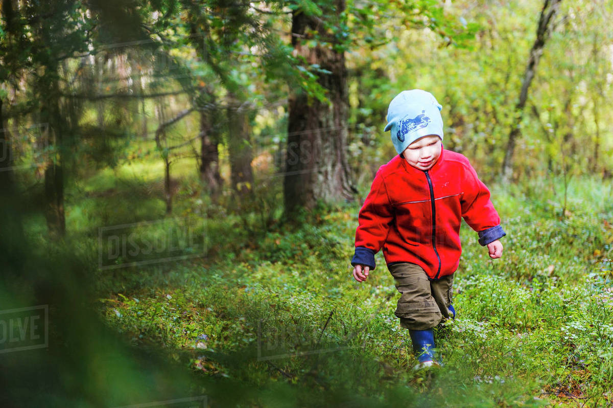 Boy walking in forest - Stock Photo - Dissolve