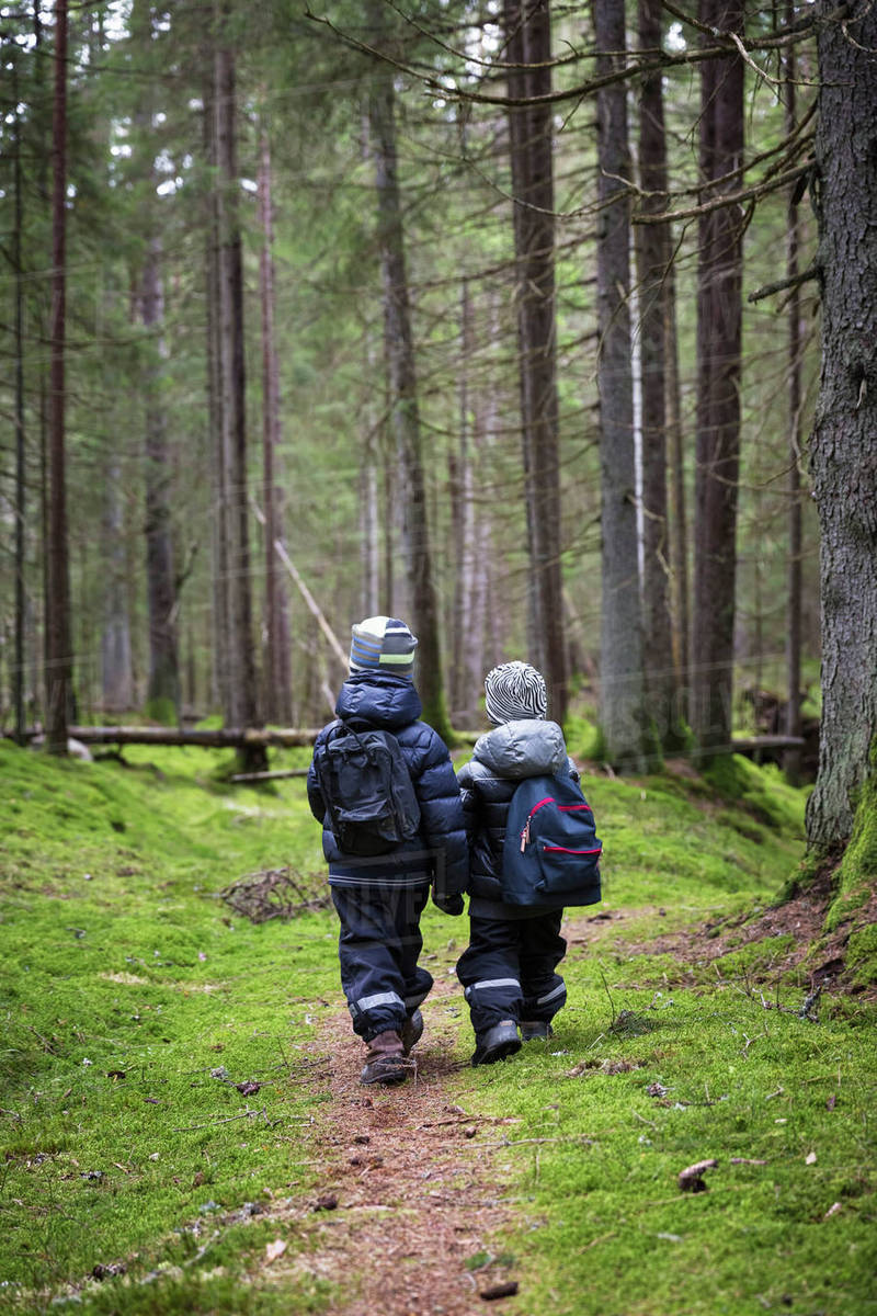 Children walking in forest - Stock Photo - Dissolve