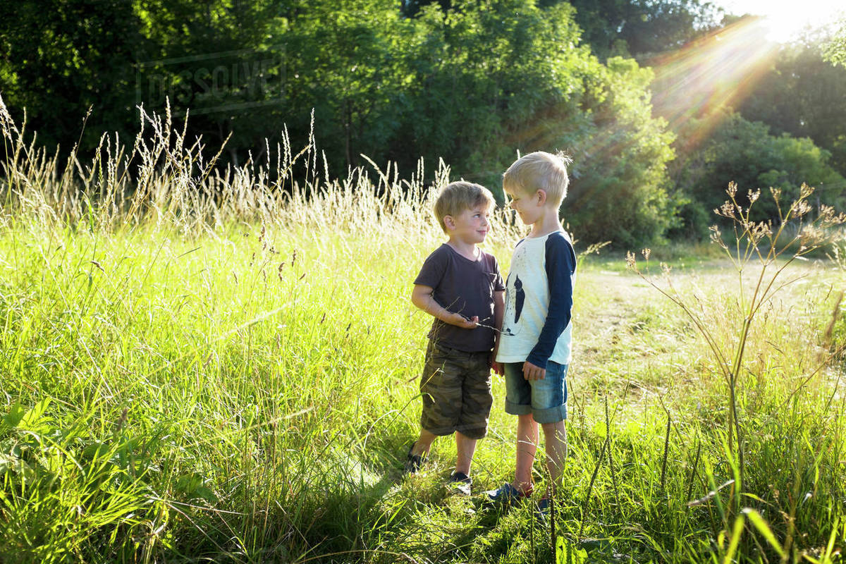 Boys on meadow - Royalty-free Stock Photo | Dissolve