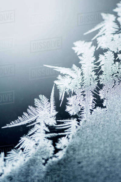Close-up of frost - Royalty-free Stock Photo | Dissolve