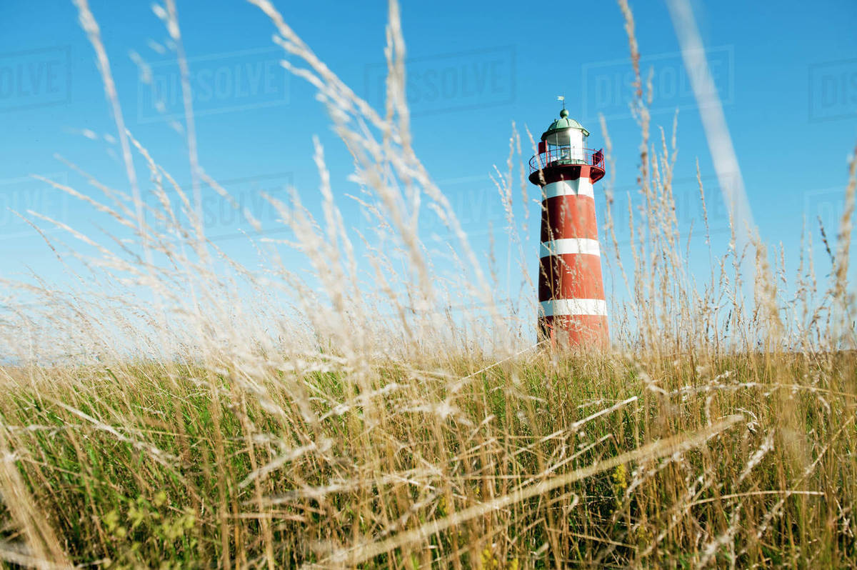 Lighthouse, grass on foreground - Royalty-free Stock Photo | Dissolve
