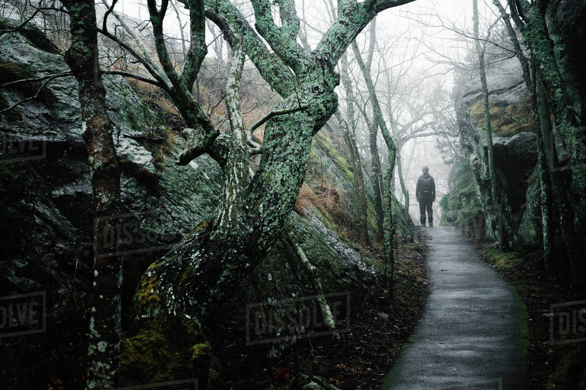 Person at the end of forest path - Royalty-free Stock Photo | Dissolve