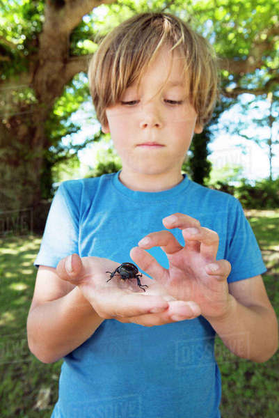 Boy holding beetle - Stock Photo - Dissolve