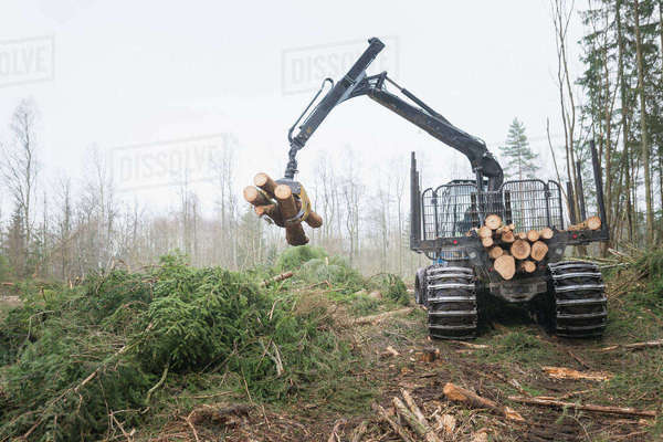 Logging vehicle carrying timber - Royalty-free Stock Photo | Dissolve