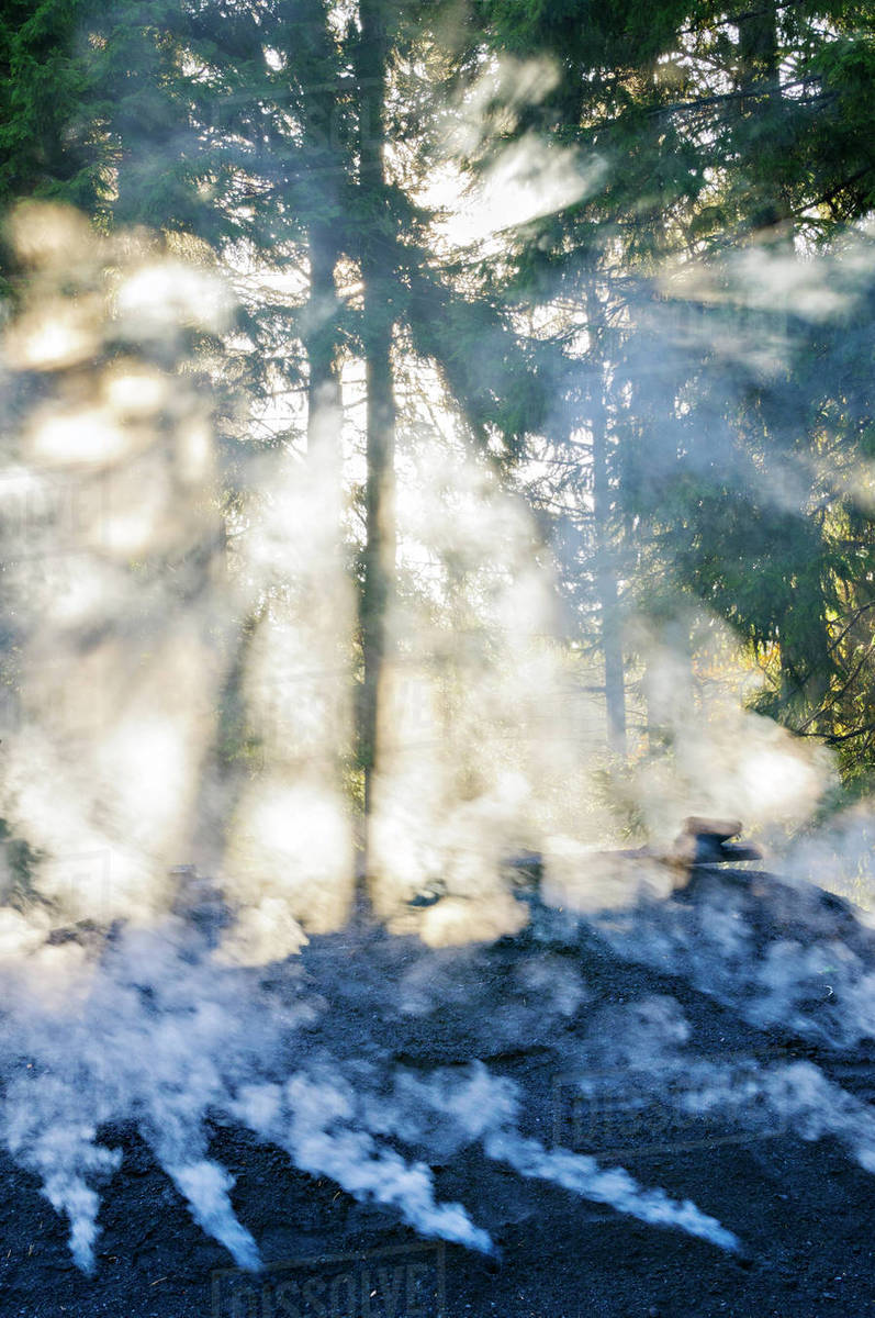 Smoke in forest - Royalty-free Stock Photo | Dissolve