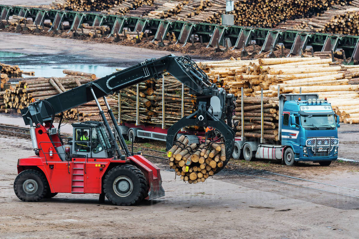 Logging vehicle carrying timber - Stock Photo - Dissolve