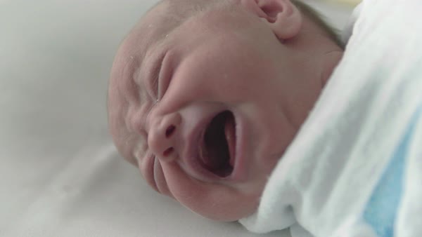 Authentic Close Up Face Shot of Newborn Baby Crying at Hospital ...