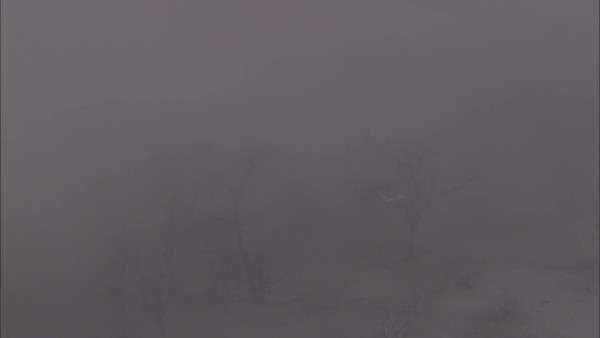 Savanna Sand Storm. The scene captures a sand storm in a savanna. Great ...