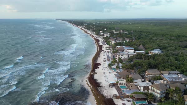 Sargassum Seaweed Crisis with Beaches in Mexico Battling Gulfweed ...
