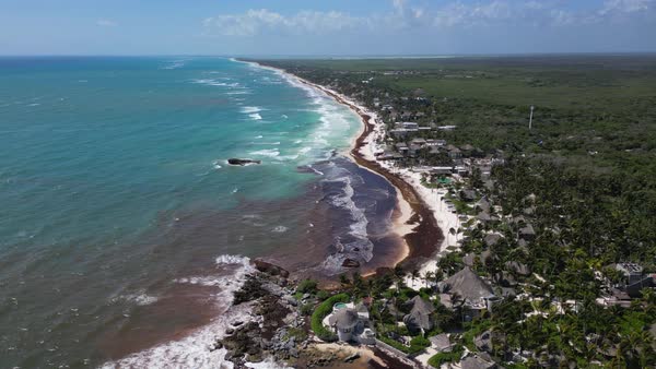Mexican Beach Resorts Tackling Sargassum Gulfweed on the Beaches - 4K ...