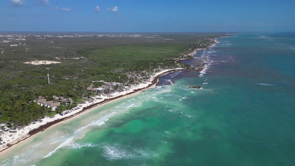 Mexican Beach Resorts Tackling Sargassum Gulfweed on the Beaches - 4K ...