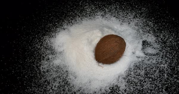 Coconut, cocos nucifera, Fruit and Powder Exploding against Black ...