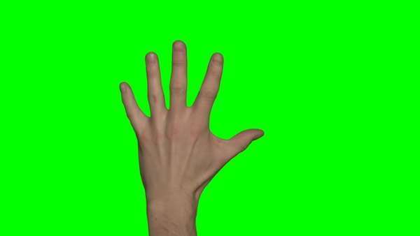 Green screen hand gestures on a touchscreen. Left male hand. Woman with ...