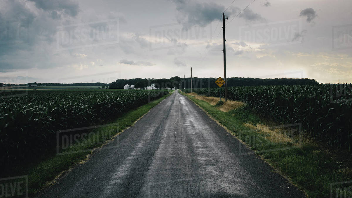 View of an empty road passing through fields at dusk, South Bend ...