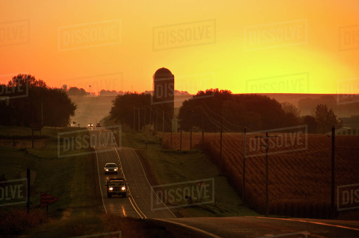 A rolling country road at sunrise passes through agricultural fields ...