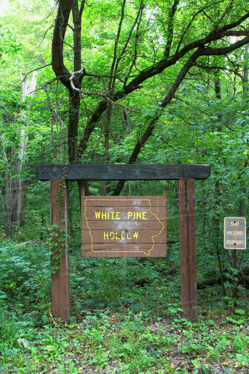 White Pine Hollow sign at the entrance of White Pine Hollow State ...