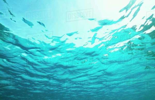 Underwater View Of Ocean, Close Up - Stock Photo - Dissolve