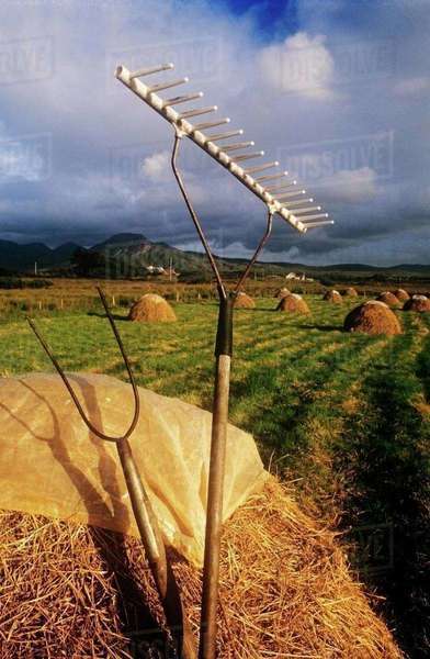 Rake With A Pitchfork On Hay In A Field, Tully Cross, Renvyle ...