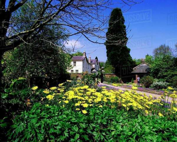Rowallane Garden, National Trust Office For Northern Ireland ...