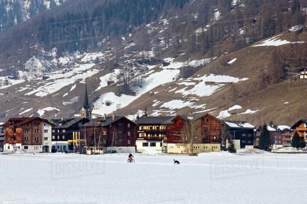 Distant View Of Village And Cyclist With Dog, Ulrichen,Goms Valley ...