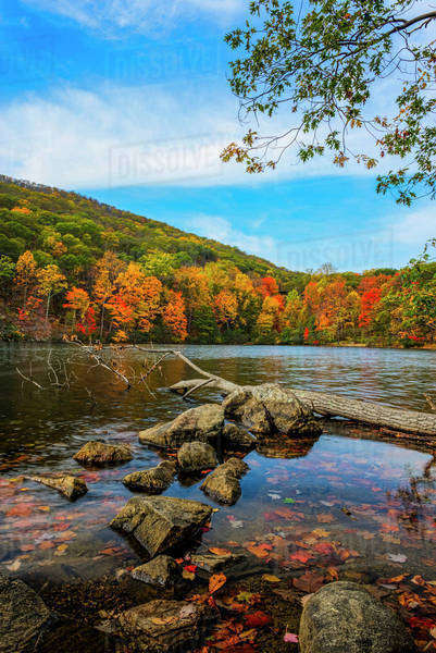 Autumn foliage at Hessian Lake, Bear Mountain State Park; Bear Mountain ...
