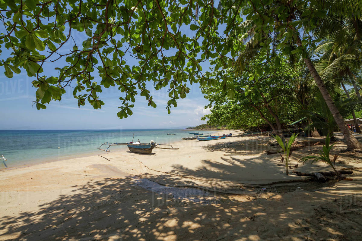 Boats on Pantai Wataboo Beach; Osoalata, Baucau, East Timor - Royalty ...