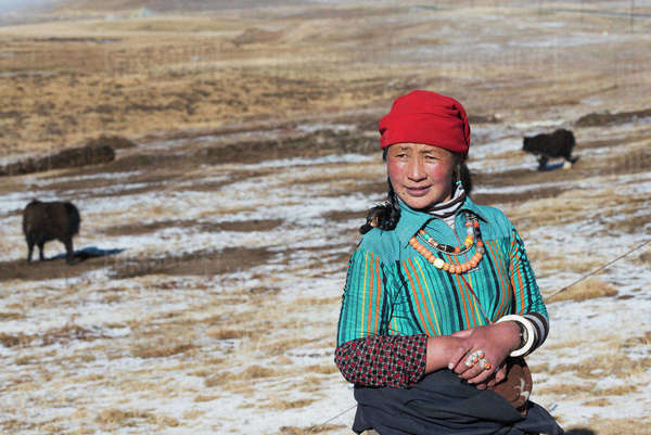 Nomad Woman From Amdo Region; Tibet - Stock Photo - Dissolve